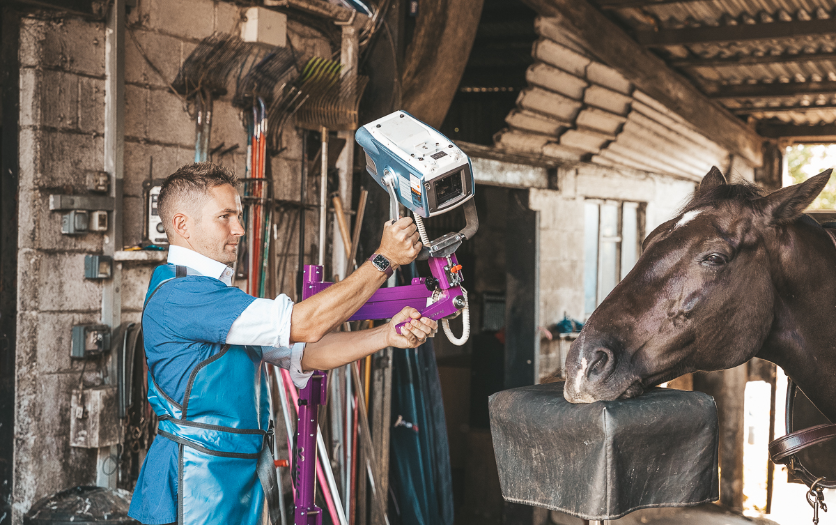 Facilities - Bescoby Equine Dental Vets Clinic